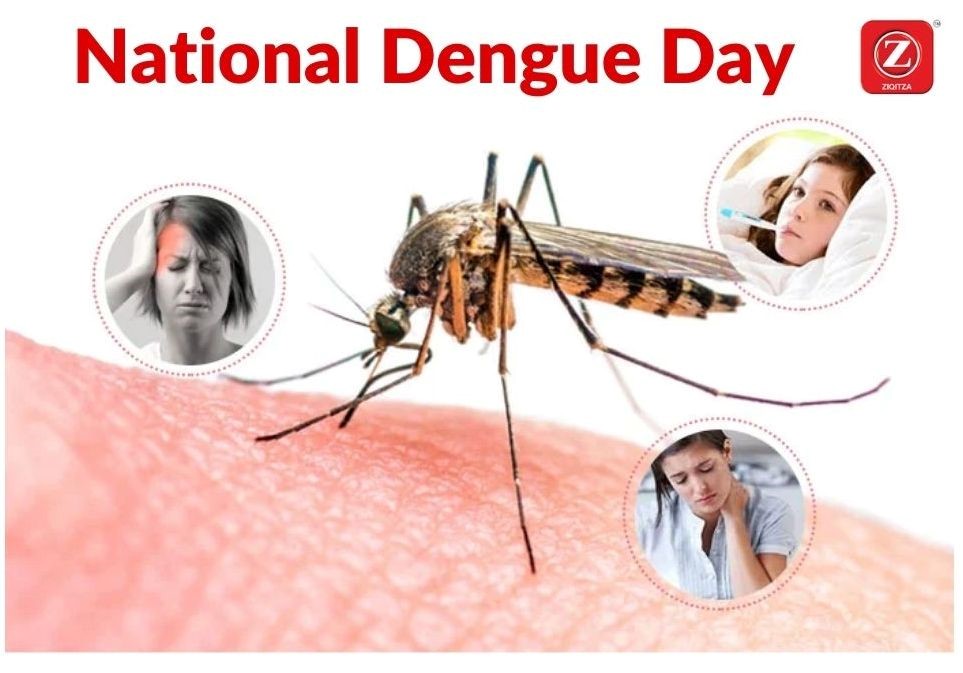 Why is National Dengue Day observed? | Ziqitza Rajasthan