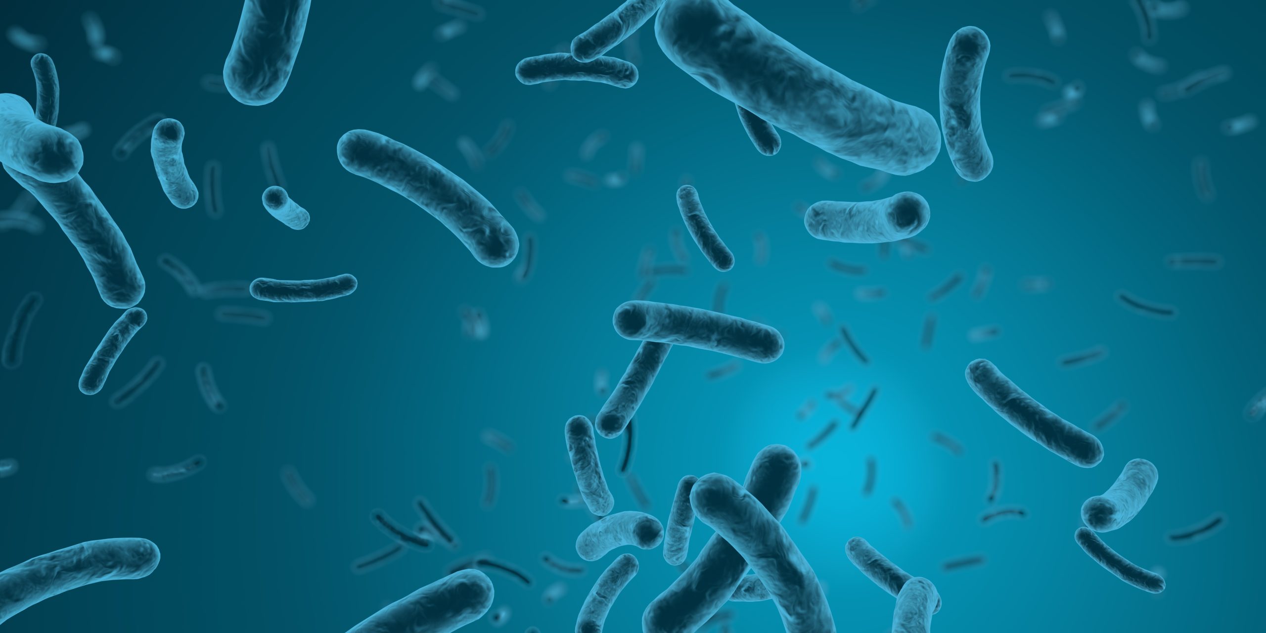 Knowing Legionella: Signs, Risks, and Preventative Measures